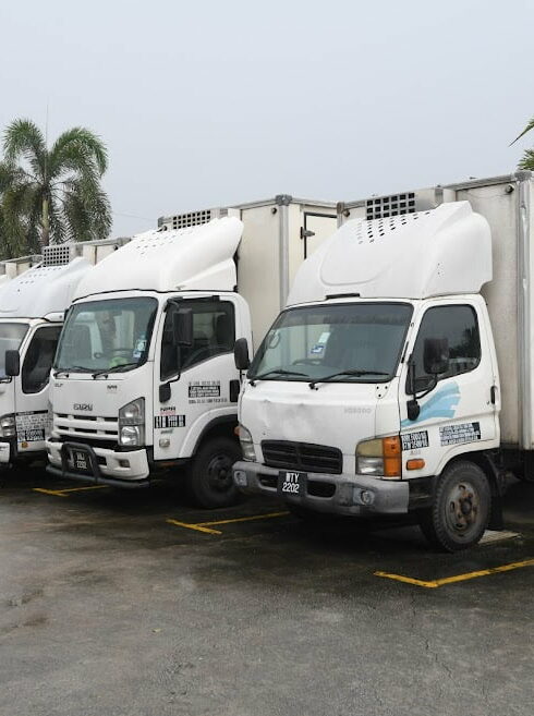 Omnichannel Fulfilment - SnT Global